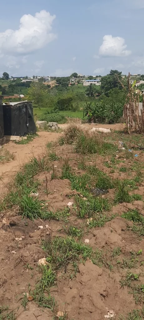 Terrain SONGON - Annonces en Côte d'Ivoire | Chic Gombo - Plateforme de ...